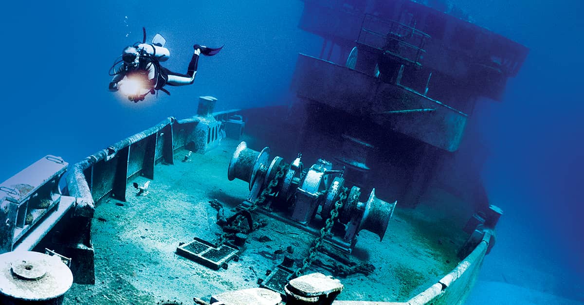 Nailed it - Flinders University