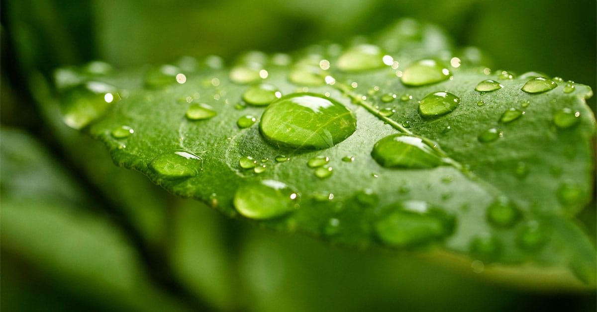 Fearless Research - Green light for sustainable water solutions ...