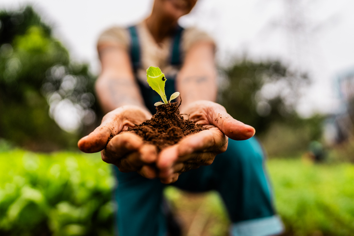 Satisfying our need for food sustainability - Flinders University